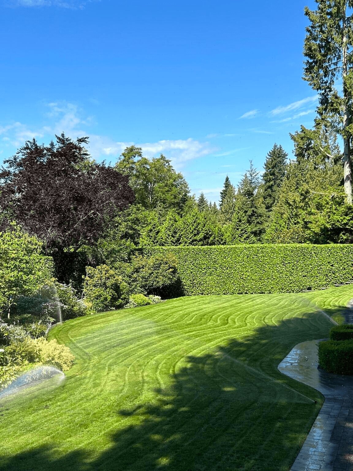 Lawn & Garden Maintenance - Beyond Landscaping | North Vancouver, West ...