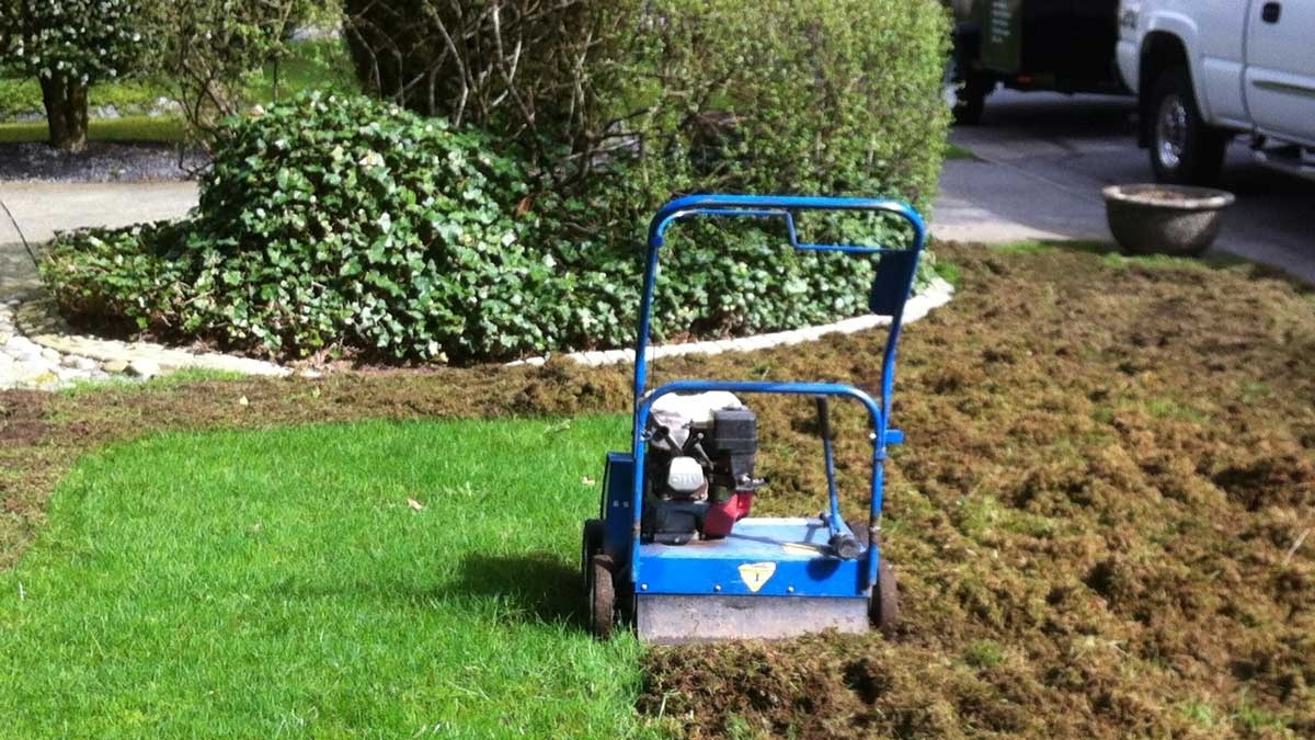 Lawn & Garden Maintenance - Beyond Landscaping | North Vancouver, West ...